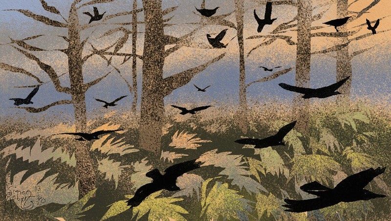 "Sometime in the Neolithic, we discovered the secret of eternal youth ...