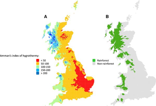 Is this Britain's loneliest rainforest?