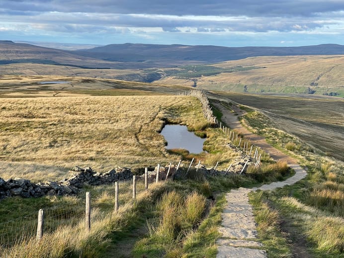 National Parks & Grassland Rewilding